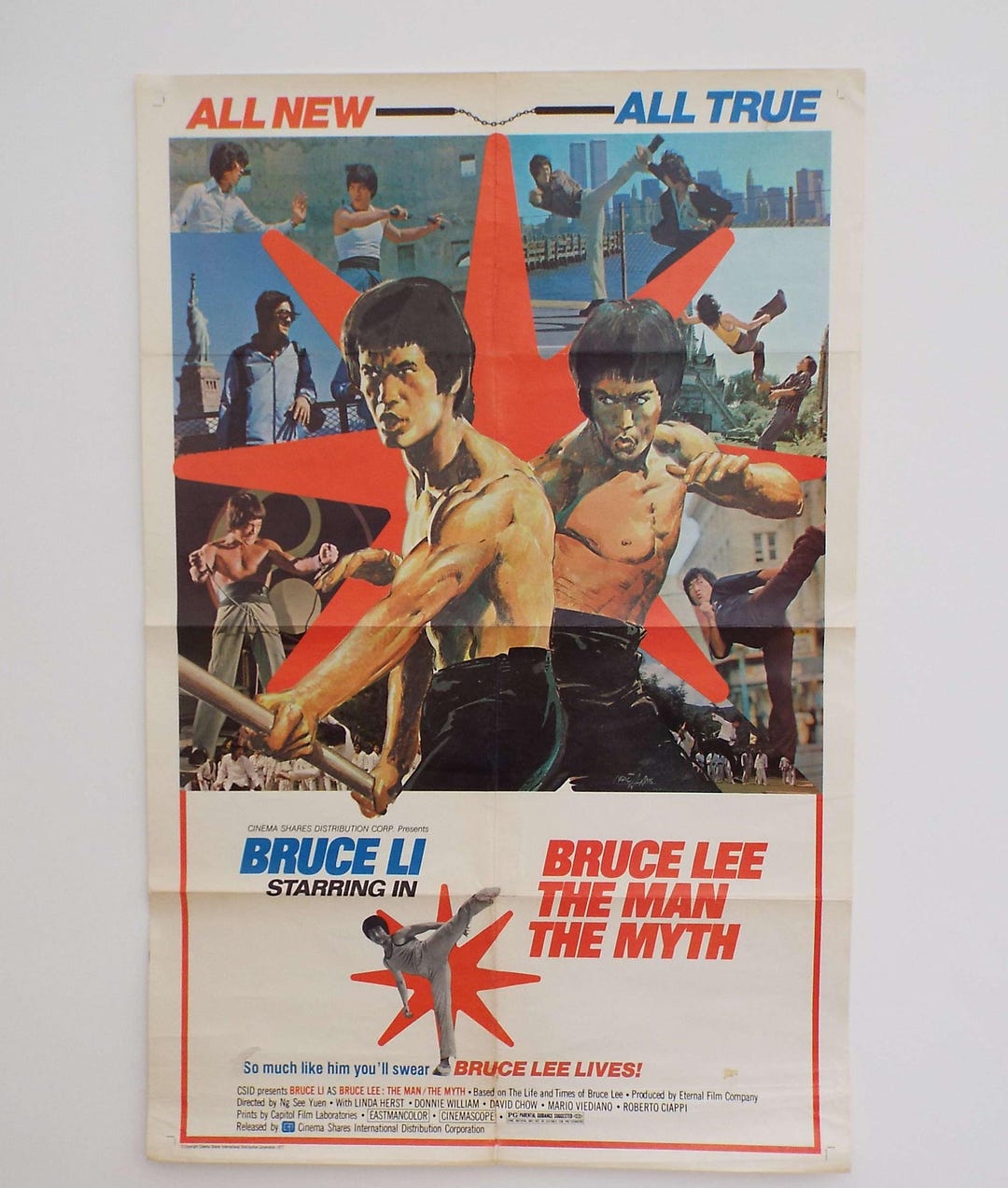 Vintage Bruce Lee the Man the Myth US 1 Sheet Film Poster Movie Poster ...