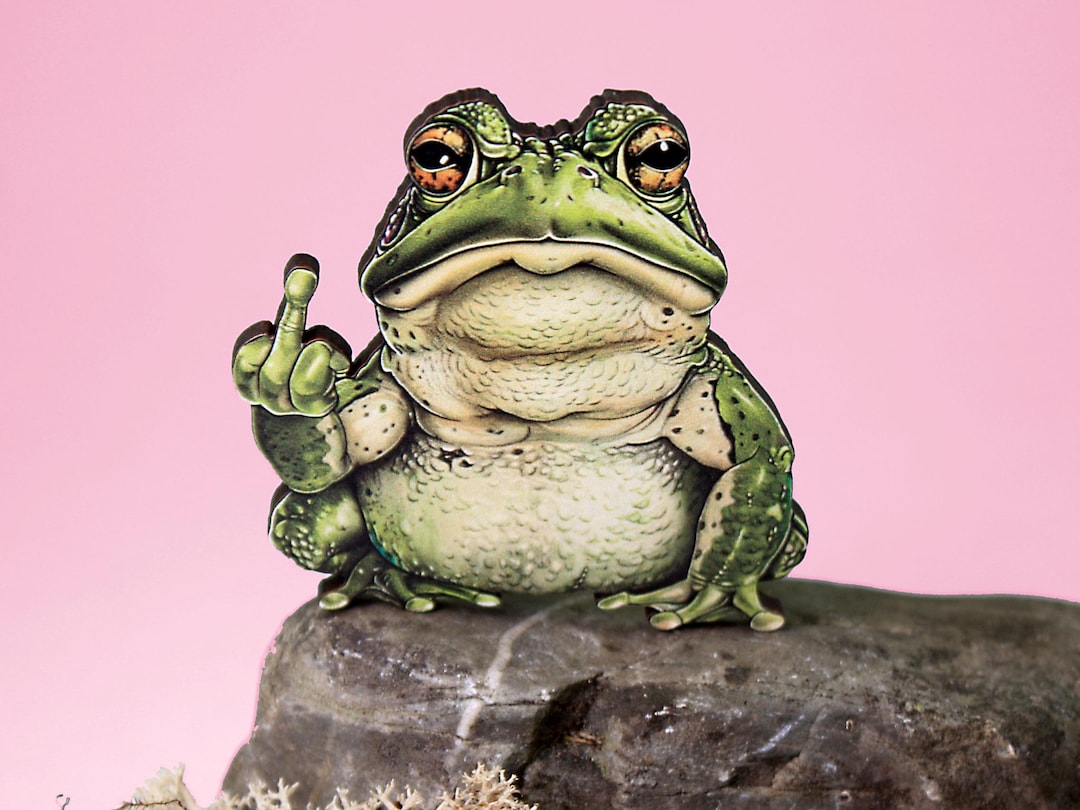 FROG YOU ++ Whimsical Wooden Brooch Pin Vintage Style Gift Surreal ...