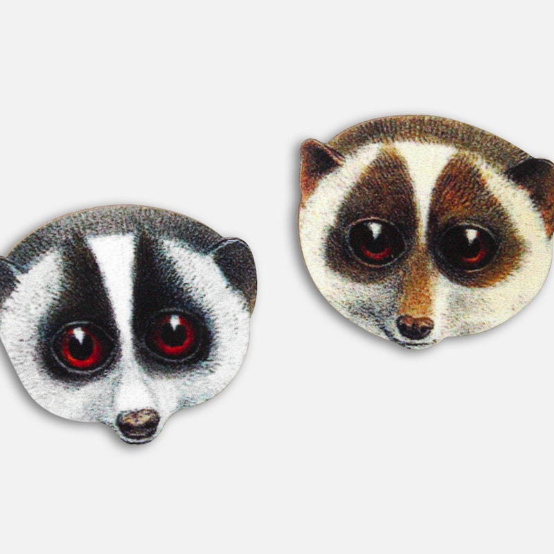 Slow Loris - Etsy