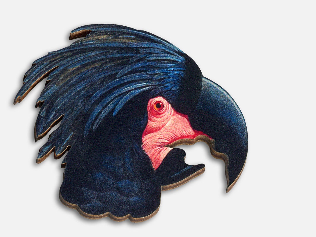 Whimsical Wooden Brooch Pin "dark is THE Cockatoo" Tropical Bird Parrot ...