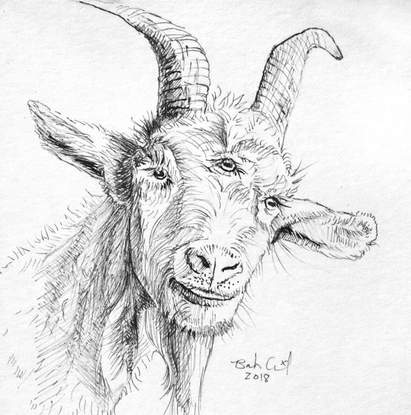 Third Eye Goat Art Print - Etsy