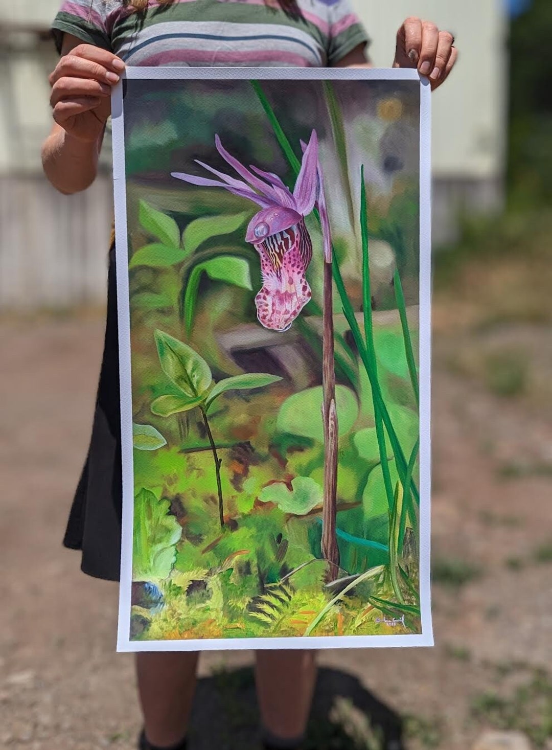 Calypso Orchid Limited Edition Archival Print - Etsy