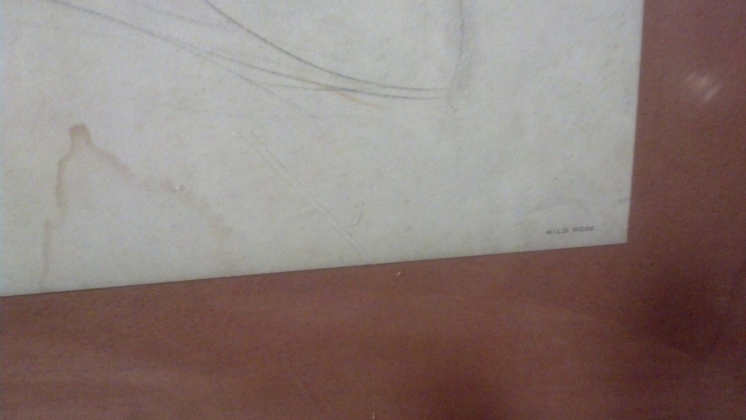 Antique Charles Allan Gilbert Print /art Wild Rose /framed Gilbert ...