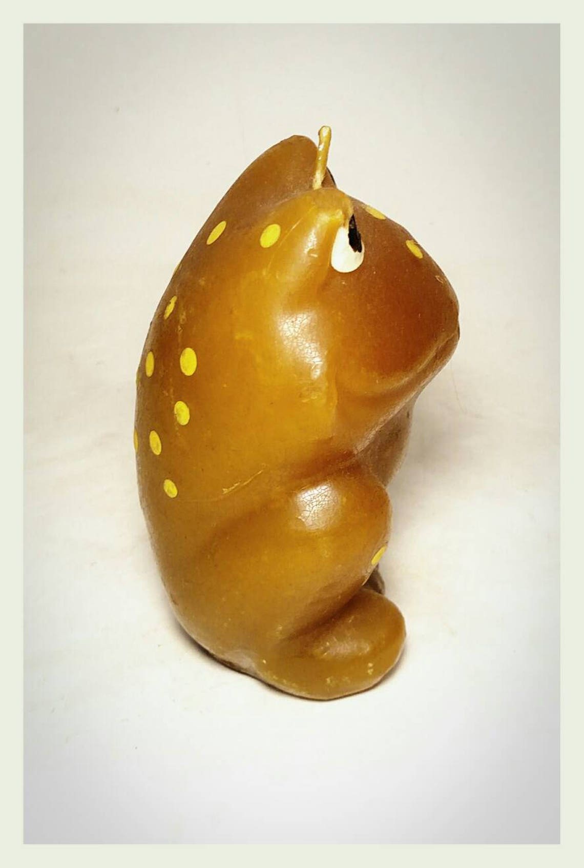 Collectible Wax Frog Candle / Collectible Frog / Small Brown - Etsy