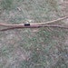66" Handmade Red Oak Longbow - Etsy
