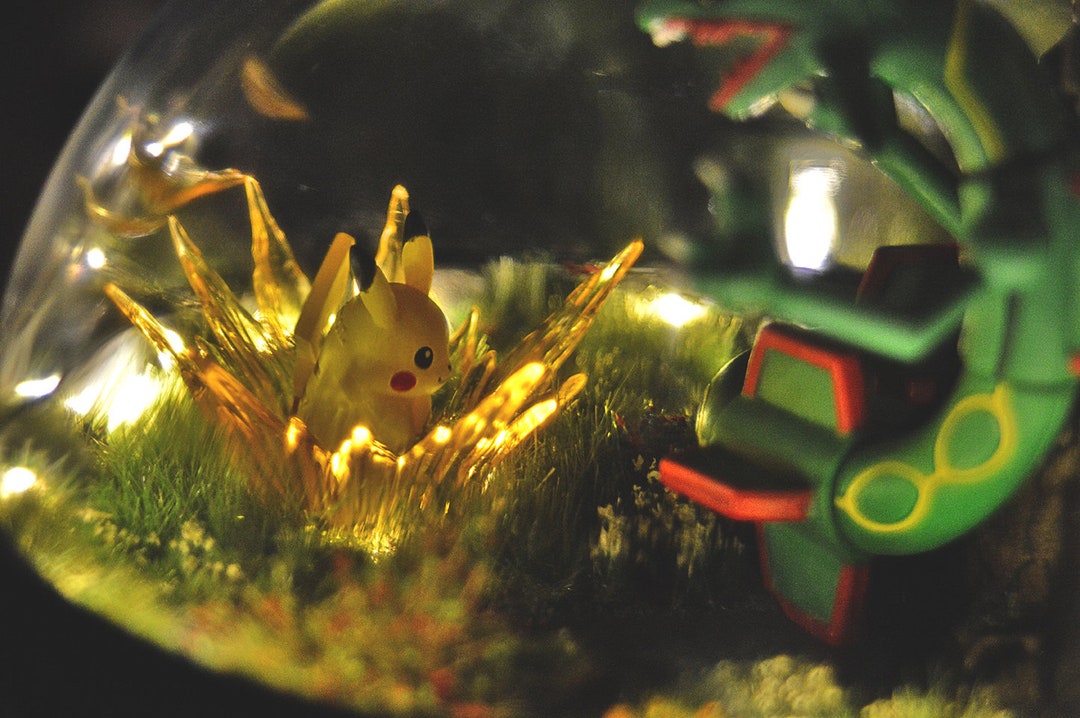 Custom Pokemon Terrarium - Medium (made to Order) - Etsy