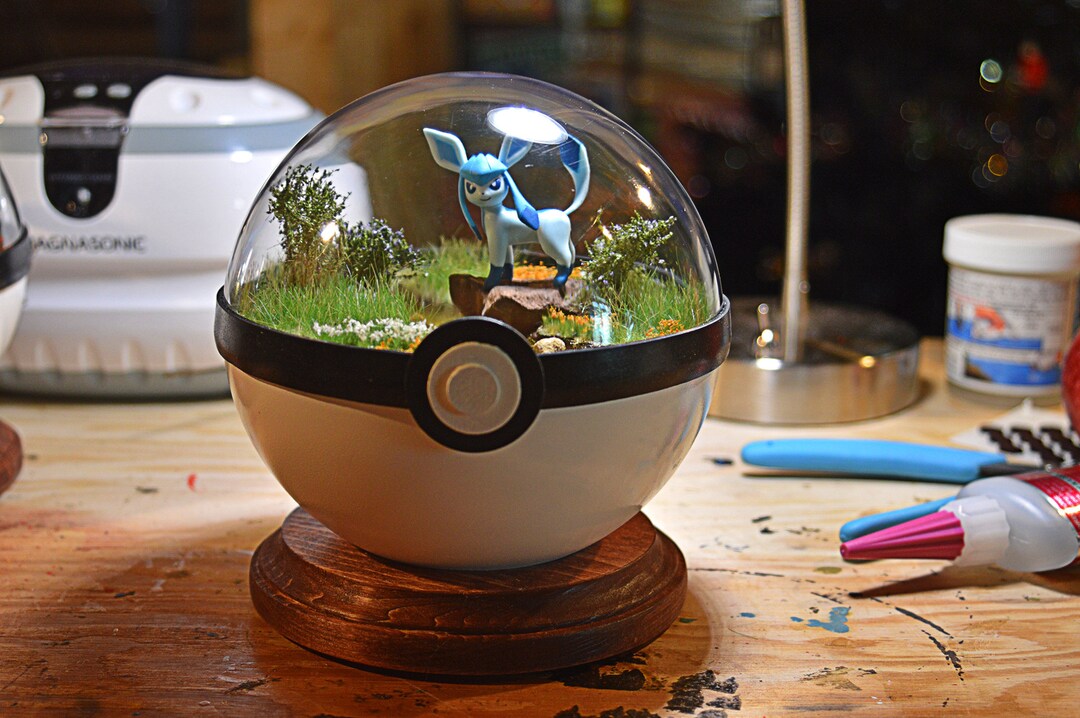 Custom Pokemon Terrarium - Small (made to Order) - Etsy