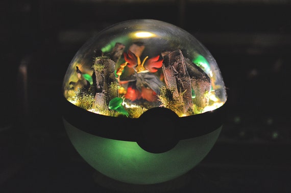 Custom Pokémon Terrarium Large made to Order - Etsy