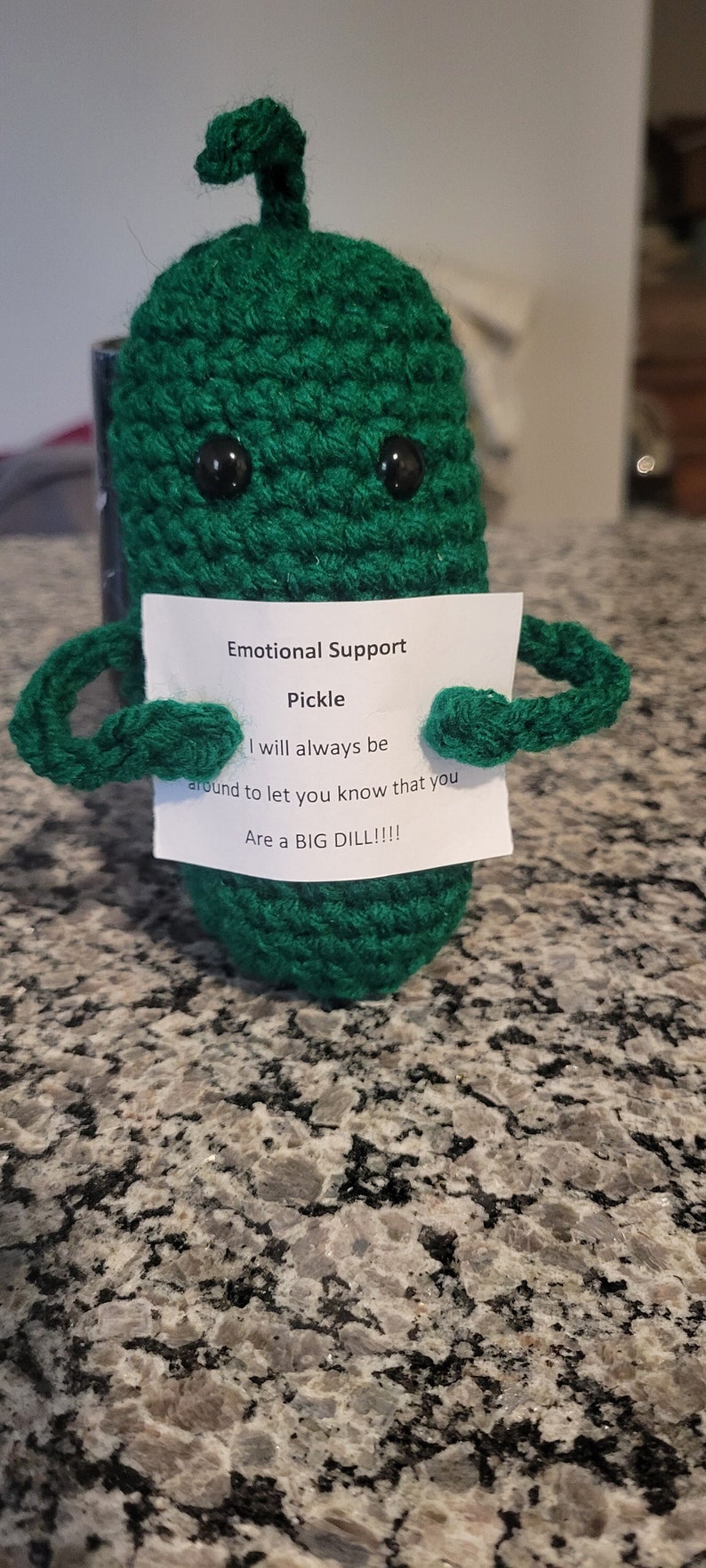 Pattern for Positive/emotional Support Pickle Crochet Pattern With Sign ...
