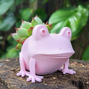 Frog Planter | Animal Planter Pot | 3D Printed Frog Decoration | Frog ...