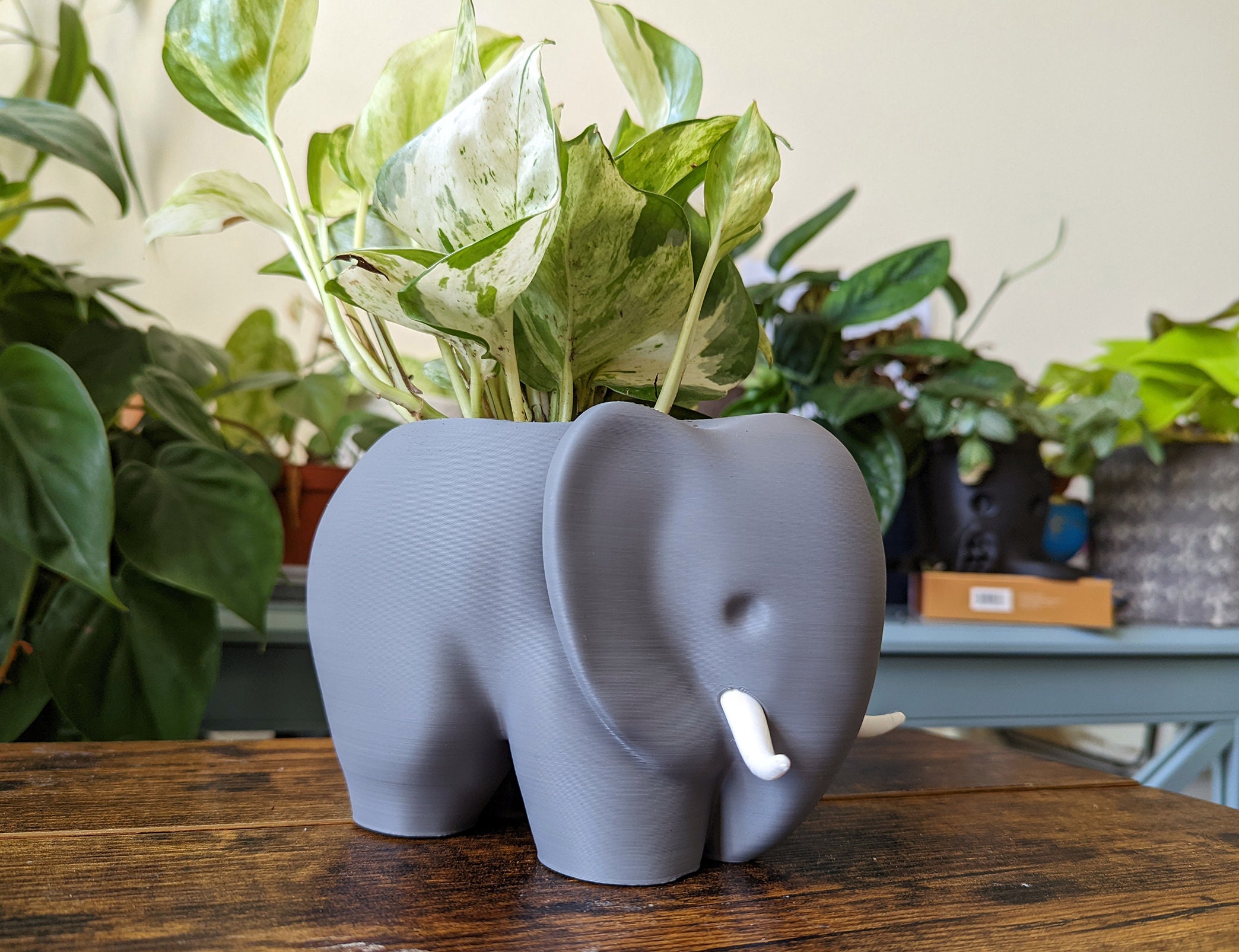 Elephant Planter Succulent Pot Indoor Animal Planter Gift - Etsy