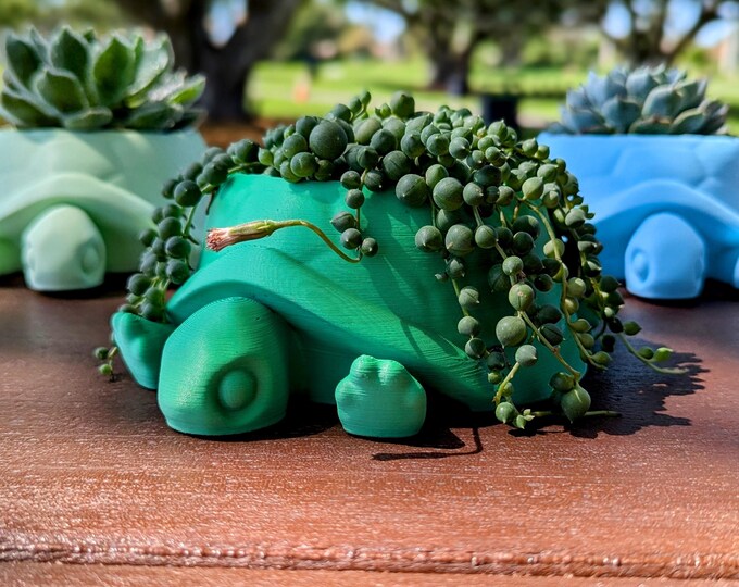 Turtle Planter – Cute Succulent Pot for Small Plants & Cactus – Animal ...