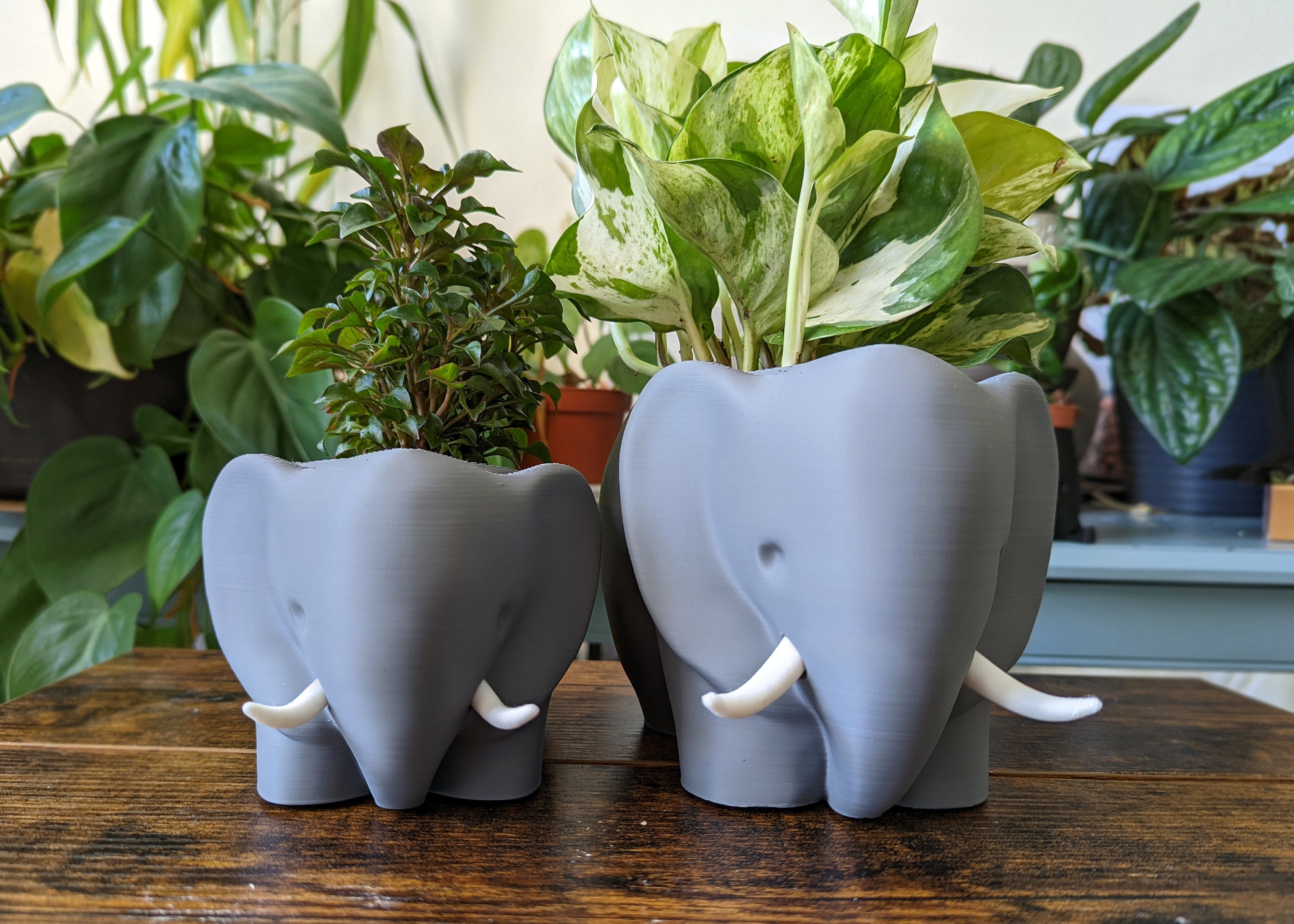 Elephant Planter Succulent Pot Indoor Animal Planter Gift - Etsy