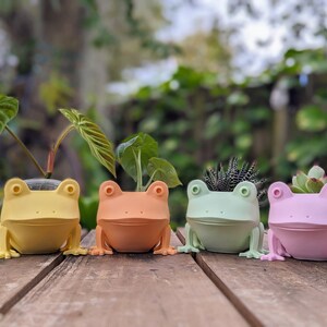 Frog Planter | Animal Planter Pot | 3D Printed Frog Decoration | Frog ...