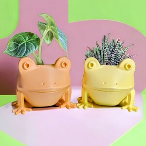 Frog Planter | Animal Planter Pot | 3D Printed Frog Decoration | Frog ...