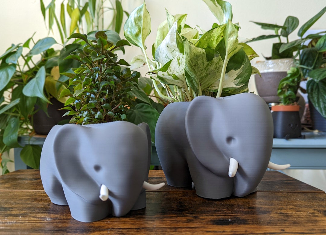 Elephant Planter | Succulent Pot | Indoor Animal Planter Gift | Desk ...
