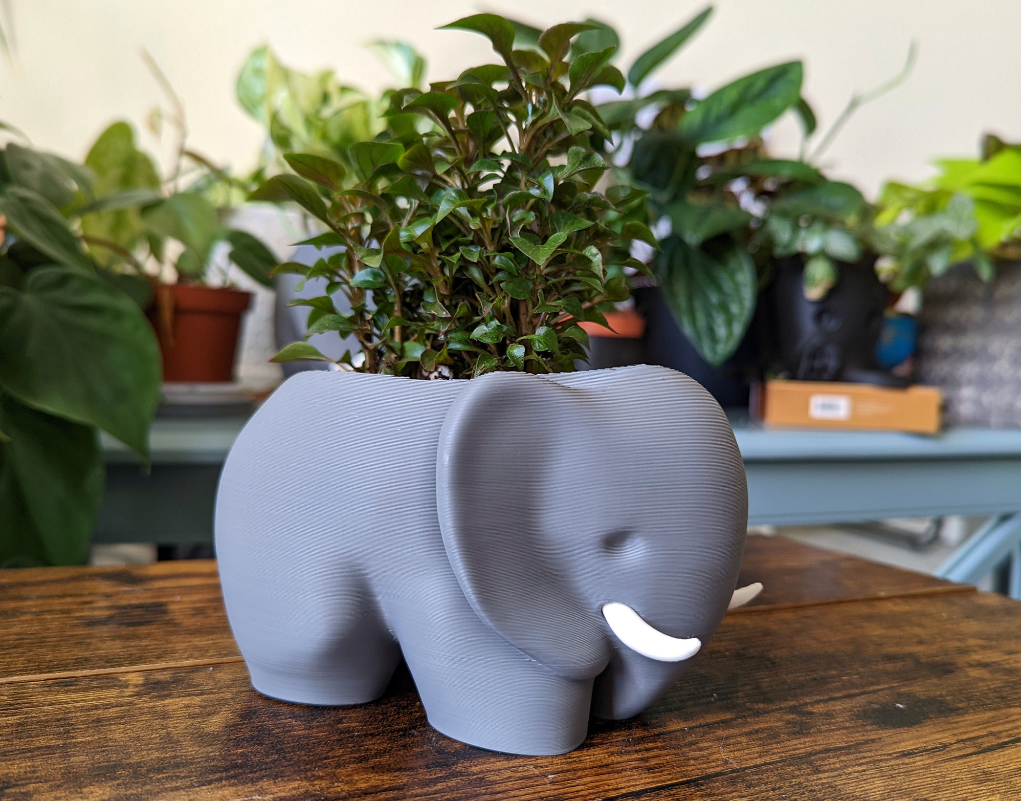 Elephant Planter Succulent Pot Indoor Animal Planter Gift - Etsy