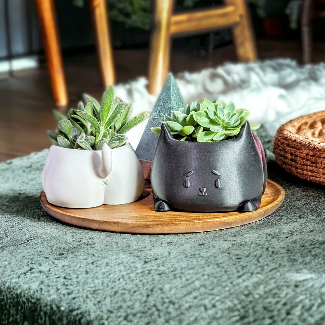 Cat Planter Cute Kitty Indoor or Outdoor Plant Pot With Drainage ...