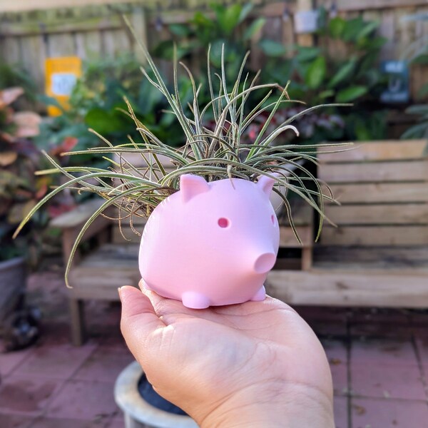 Pig Planter - Etsy