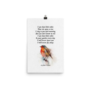 Robin Memorial Poem I Sympathy Gift I Bereavement Poem I Bereavement ...