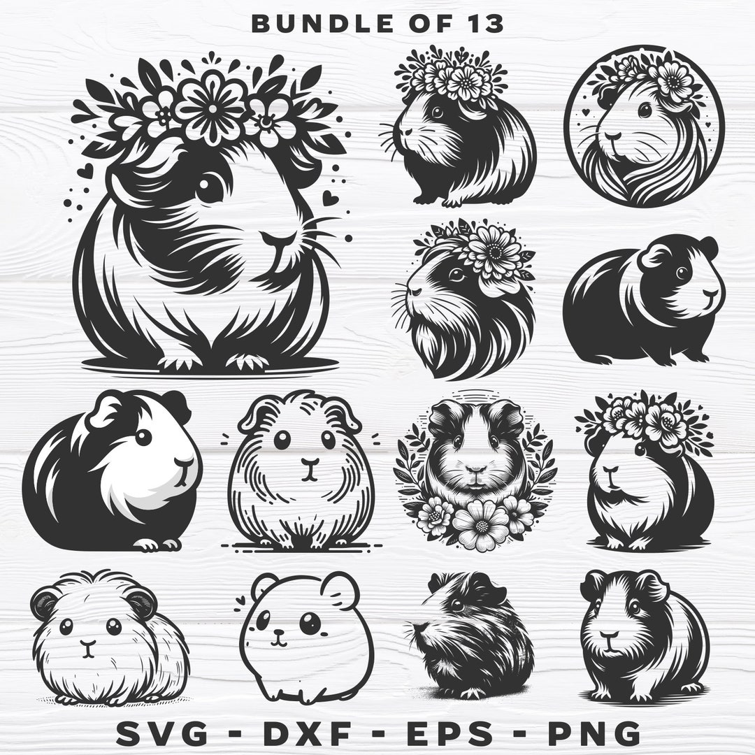 Guinea Pig Svg - Guinea Pig Bundle 1 - Svg - Dxf - Eps - Png - Vector ...