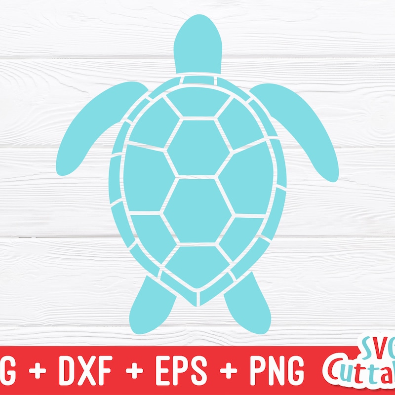Turtle Svg - Etsy