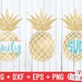 Pineapple Svg - Split Pineapple Cut File - Pineapple Monogram Frame ...