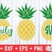 Pineapple Svg - Split Pineapple Cut File - Pineapple Monogram Frame ...