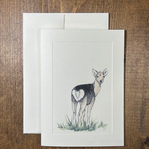 Forest Critters Greeting Cards- Woodland Critters - Woodland Critter ...