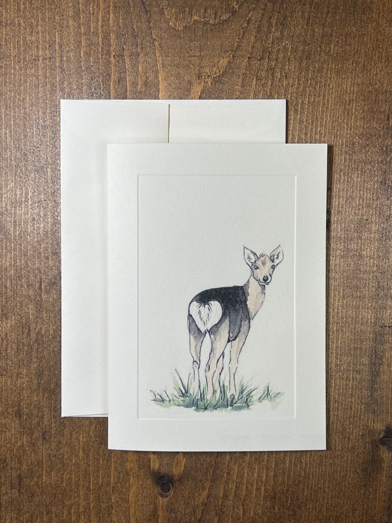 Forest Critters Greeting Cards- Woodland Critters - Woodland Critter ...