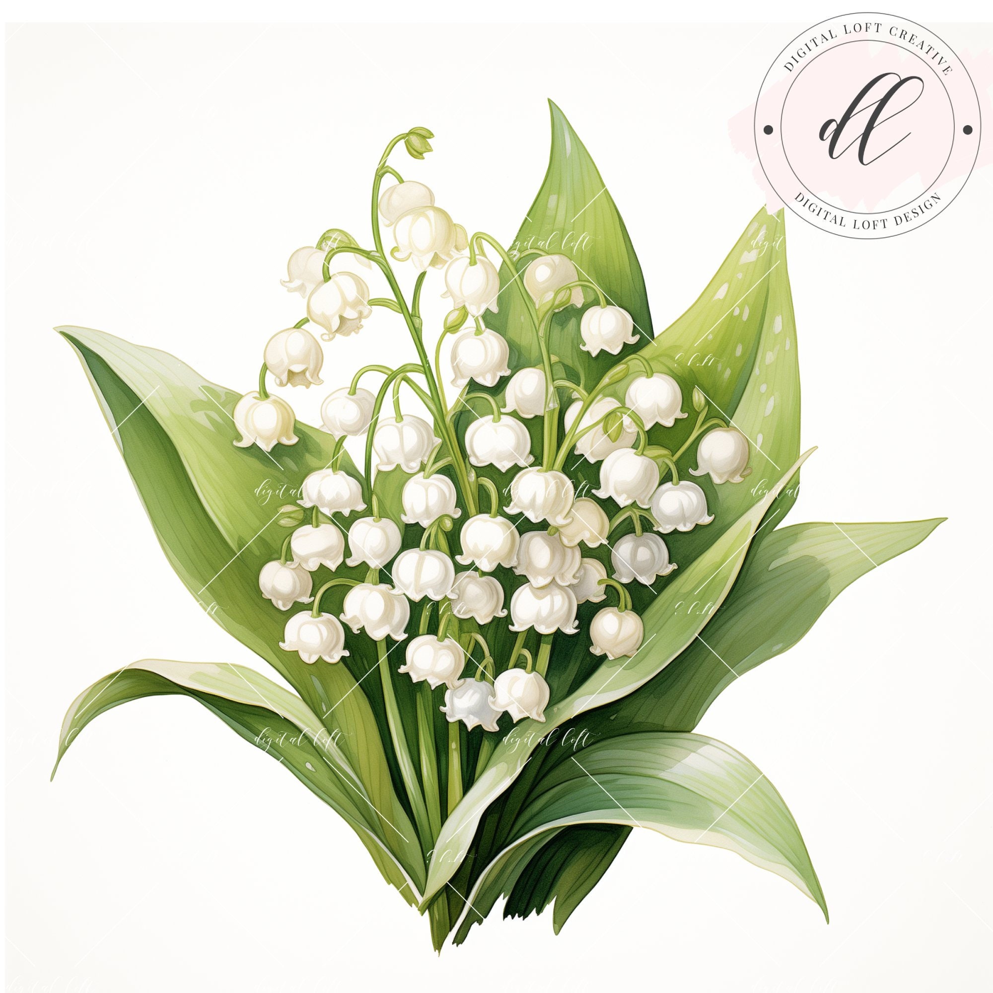 Lily of the Valley Clipart for Stationery DIY Cards Junk Journal Floral ...