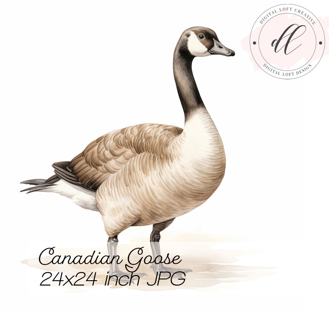 Canadian Goose Illustration, Wildlife Art Print, Nature Inspired ...