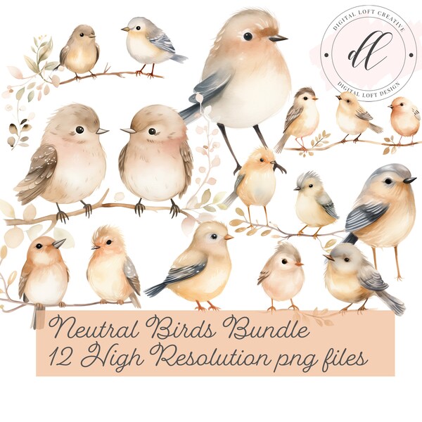 Bird Nursery Decor - Etsy