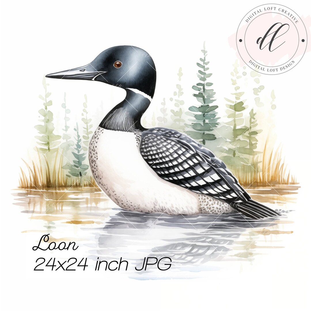 Watercolor Loon Art Print, Lake House Decor (digital Download) - Etsy ...