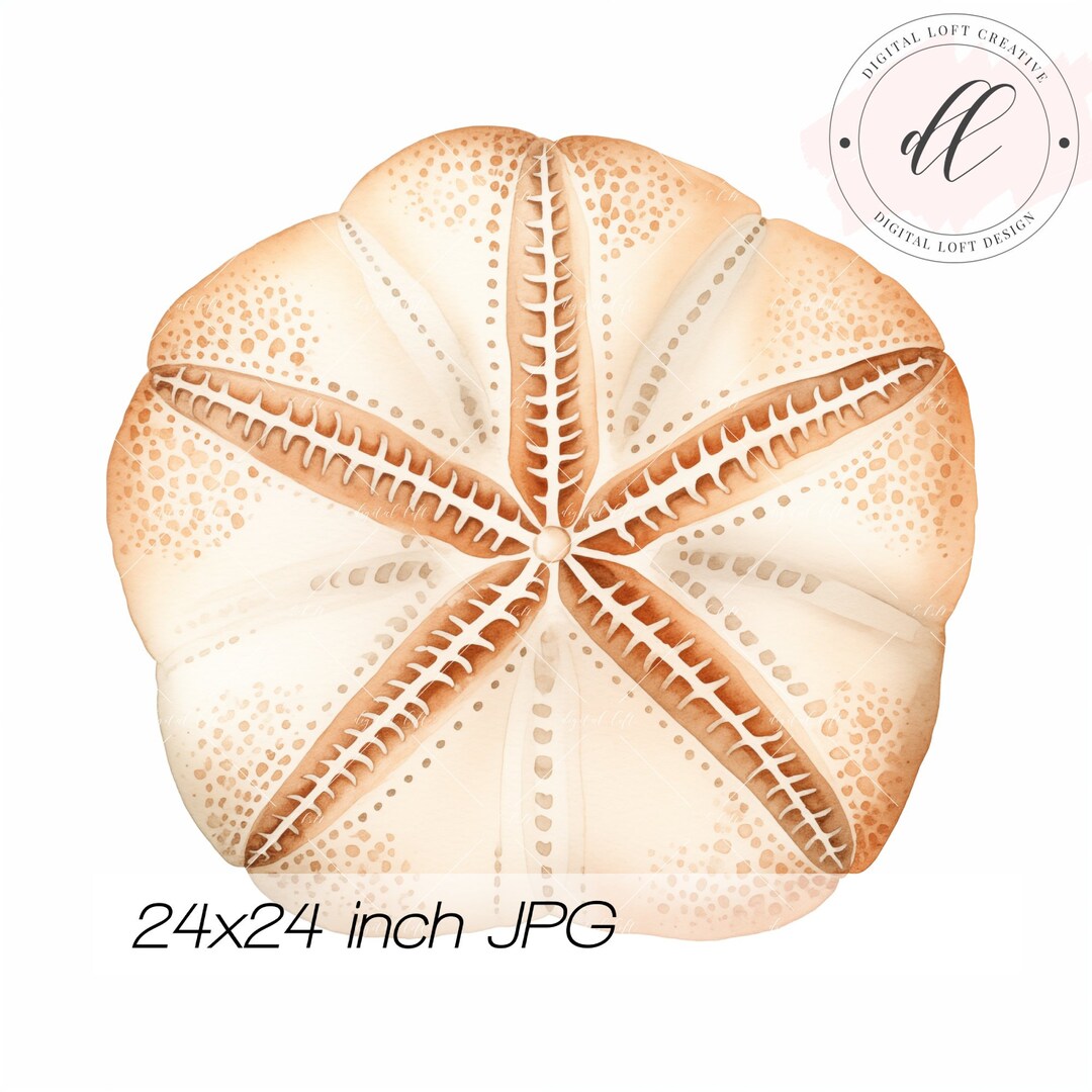 Watercolor Sand Dollar Illustration, Digital Download, Coastal Wall Art ...
