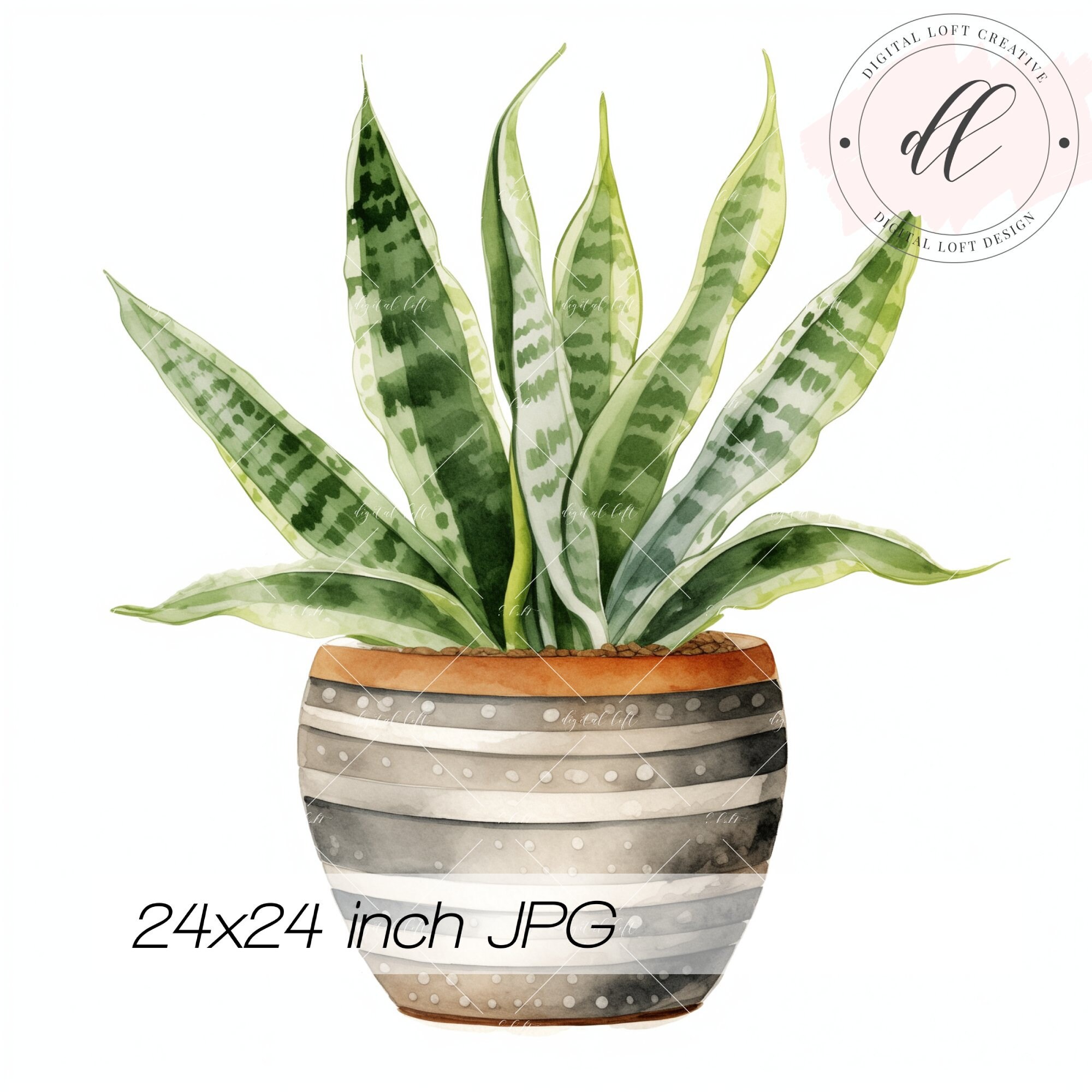 Watercolor Snake Plant Printable Art, Botanical Illustration, Home ...