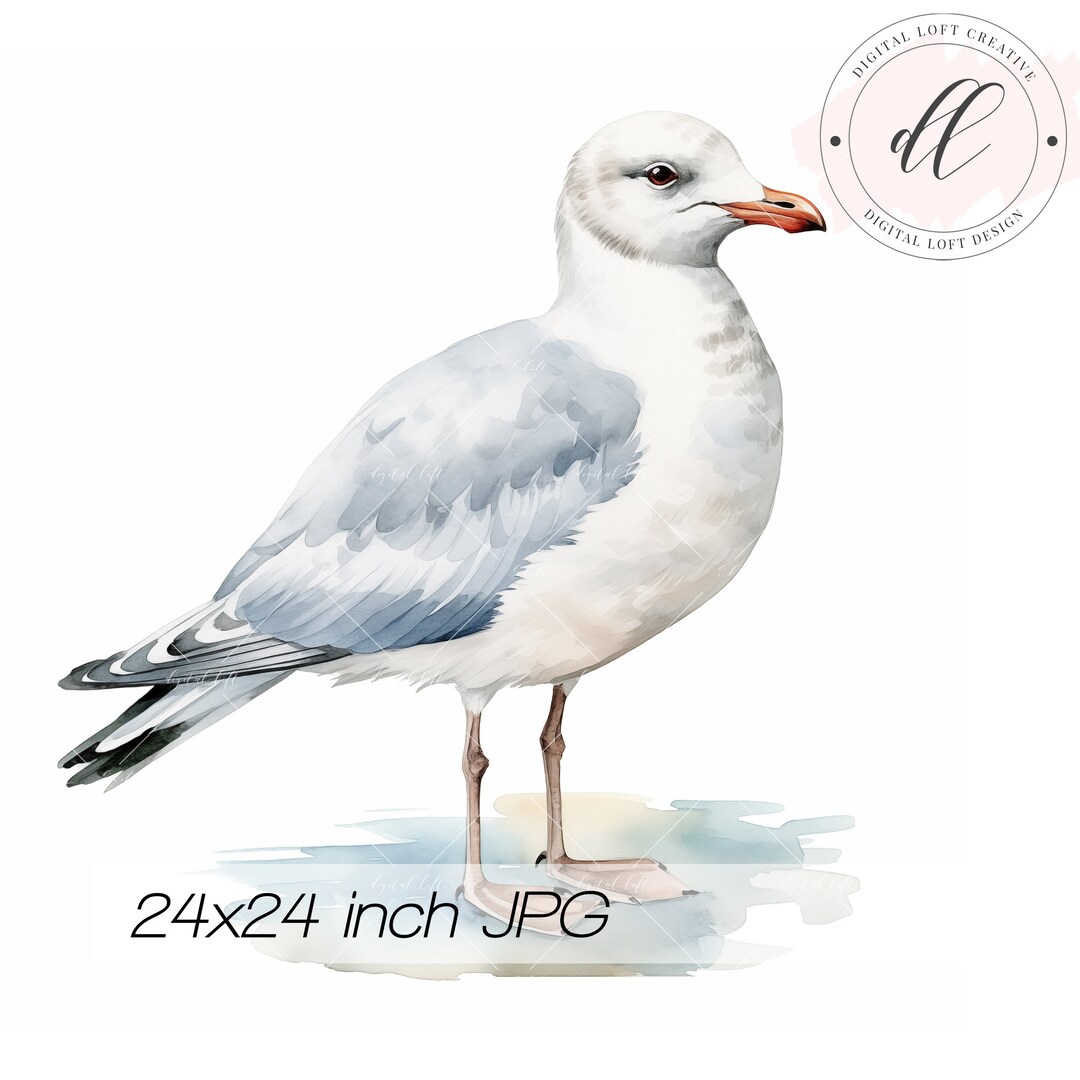 Watercolor Seagull Printable Art, Coastal Bird Digital Wall Decor ...
