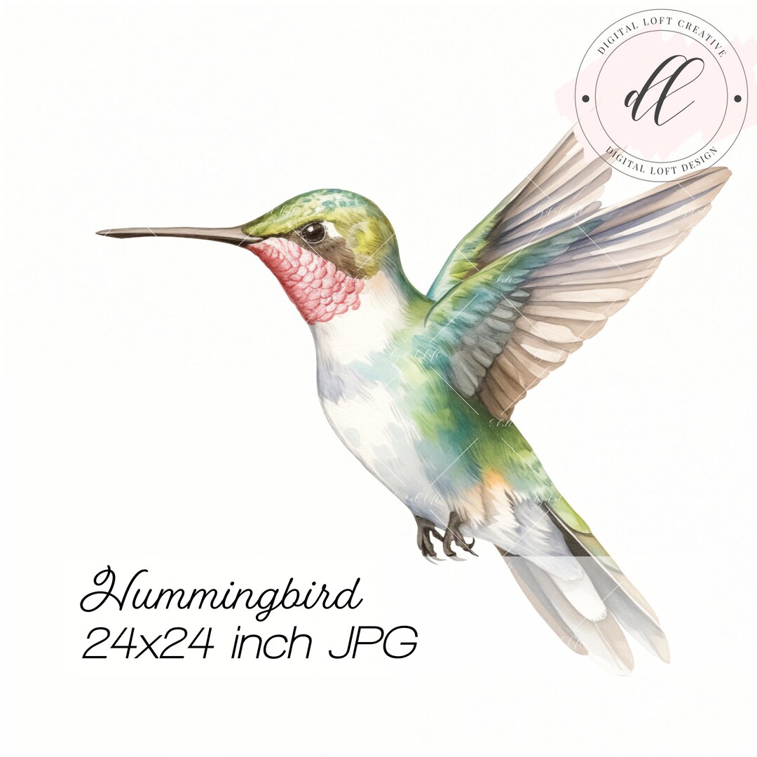 Watercolor Hummingbird Print, Digital Download, Bird Wall Art, Nature ...