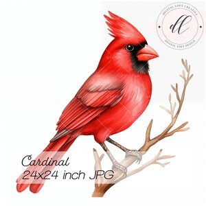 Red Cardinal Bird Digital Art Print, Vibrant Wildlife Illustration ...