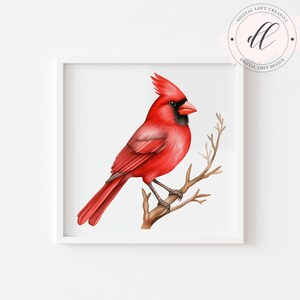 Red Cardinal Bird Digital Art Print, Vibrant Wildlife Illustration ...