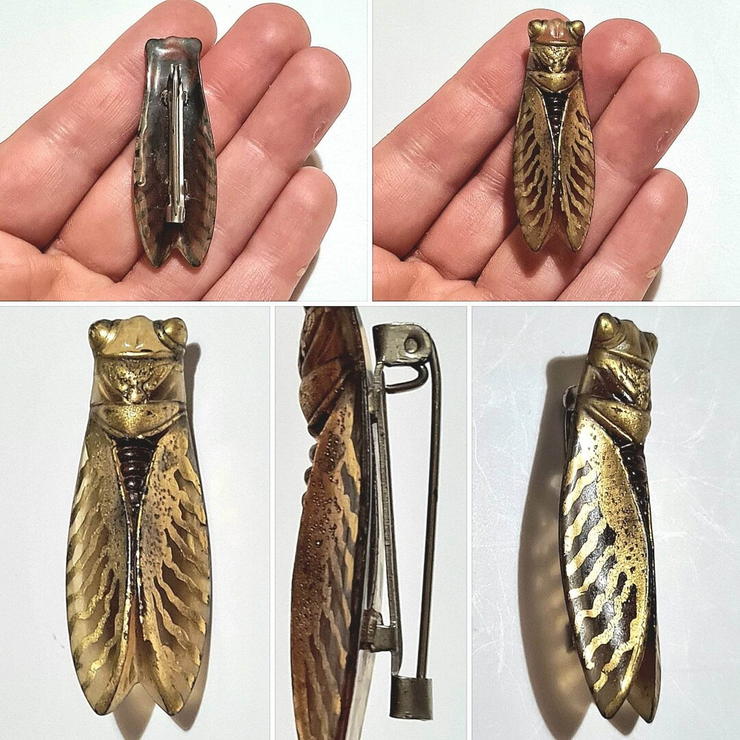 Original 1930s Art Deco Early Plastic Cicada Brooch - Etsy UK