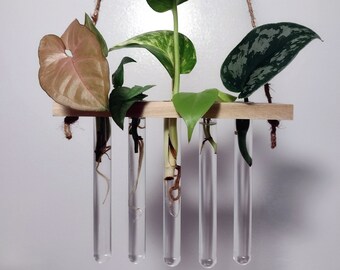 Hanging Rooting Vase - Etsy