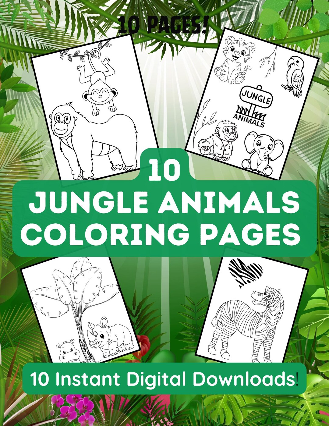 Jungle Animal Coloring Book - Monkeys, Lions, Hippos, Elephants ...