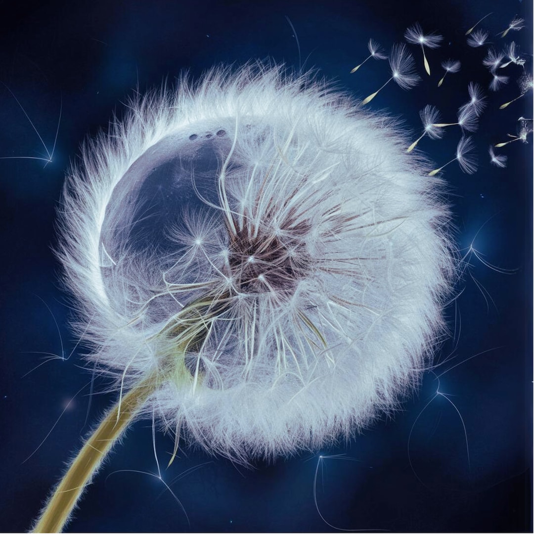 Dandelion Moon Sticker - Etsy