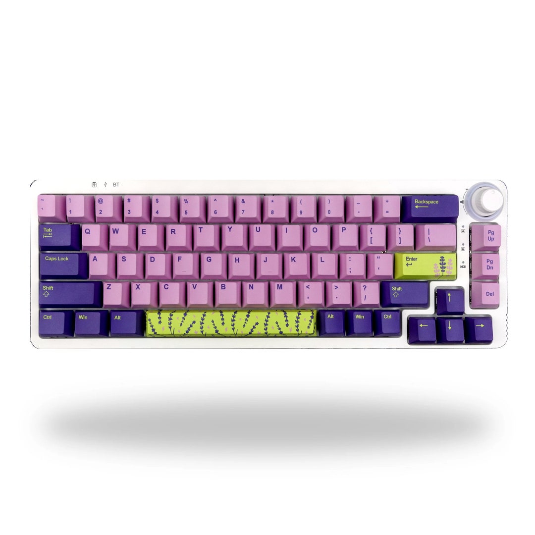Lavender Keyboard Full Build 65% Keyboard 67 Keys Tenkeyless Keyboard ...
