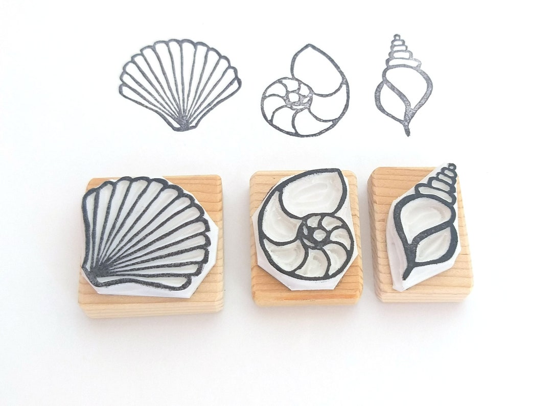 Scallop Shell Conch Shell and Nautilus or Seashells on the Sea Shore ...