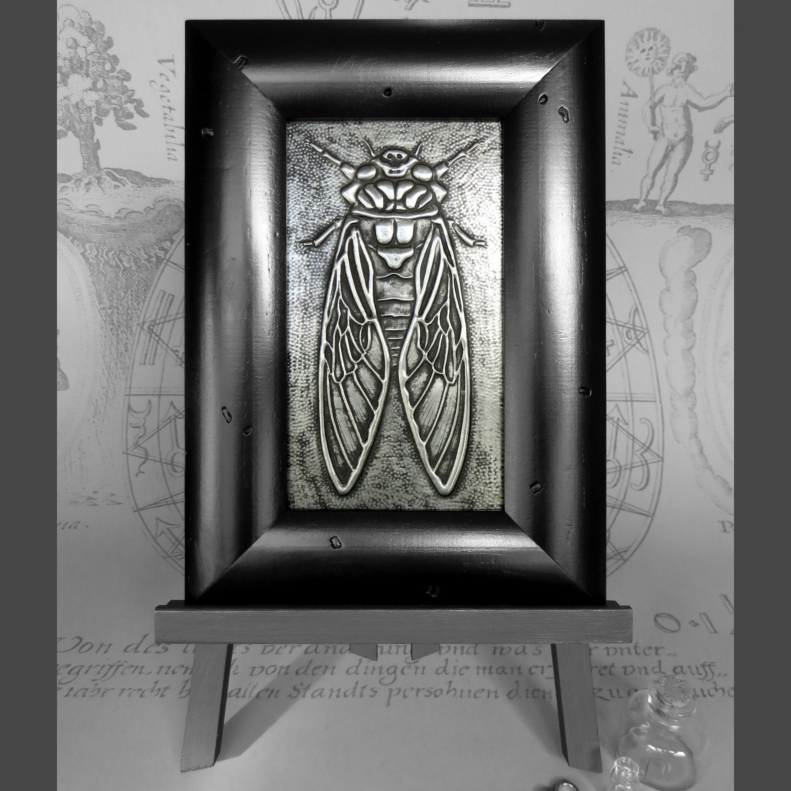Cicada : Hand Embossed Natural History Repoussé Metal Wall Art - Etsy