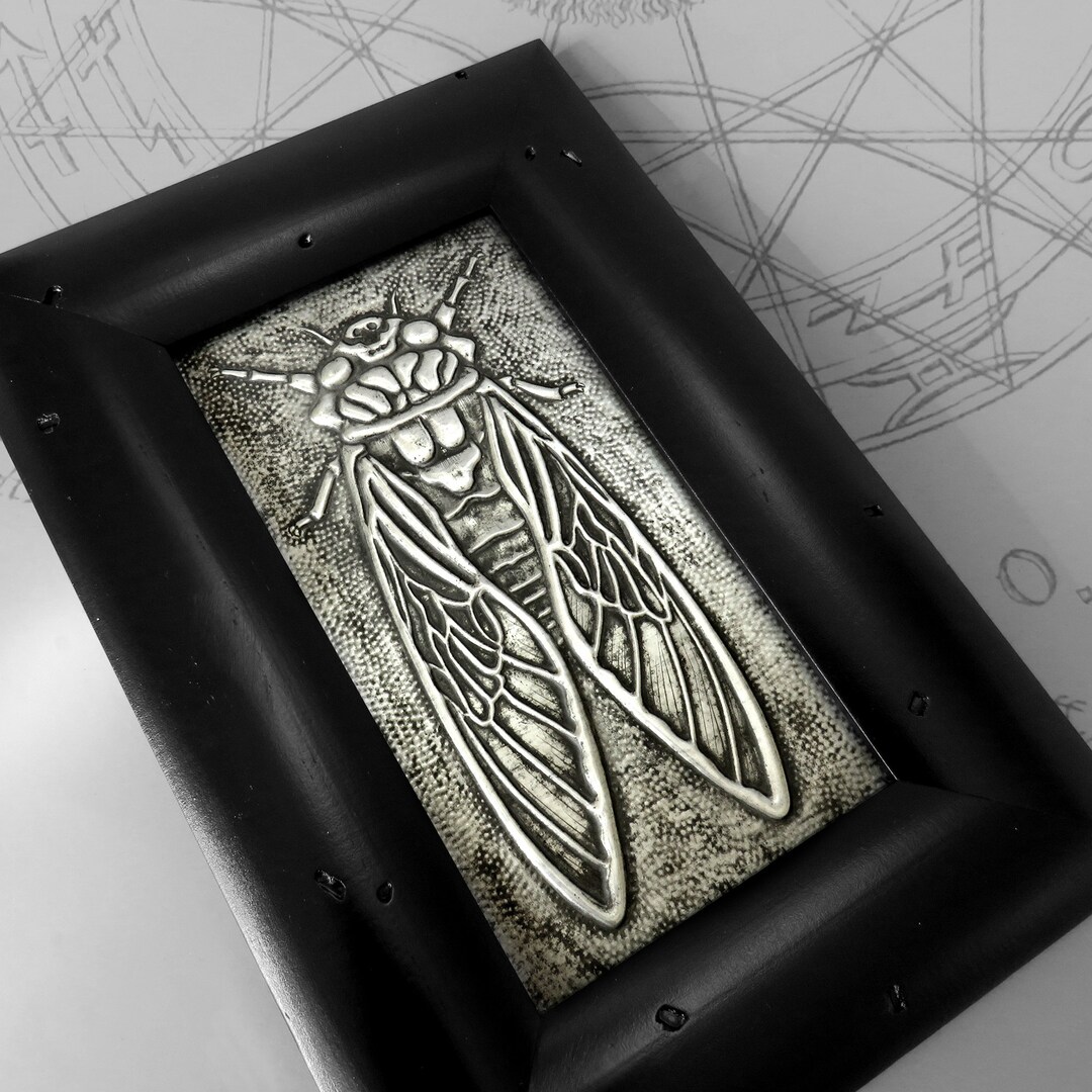 Cicada : Hand Embossed Natural History Repoussé Metal Wall Art - Etsy