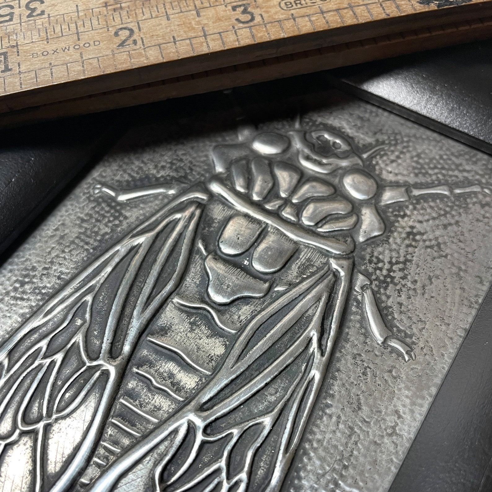 Cicada : Hand Embossed Natural History Repoussé Metal Wall Art - Etsy