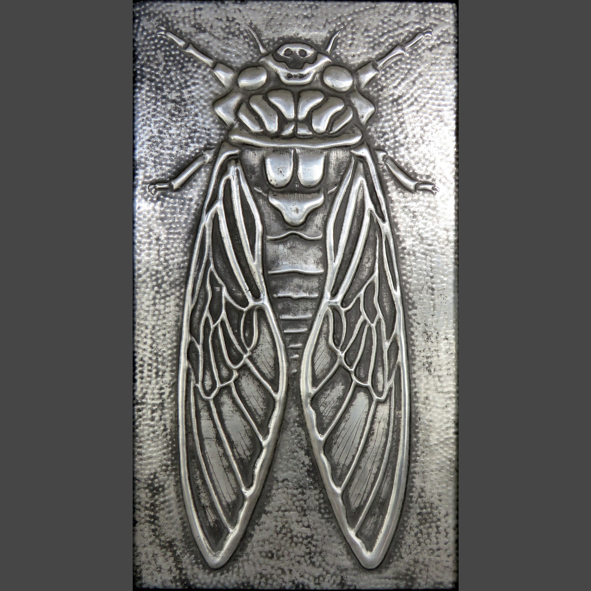 Cicada : Hand Embossed Natural History Repoussé Metal Wall Art - Etsy